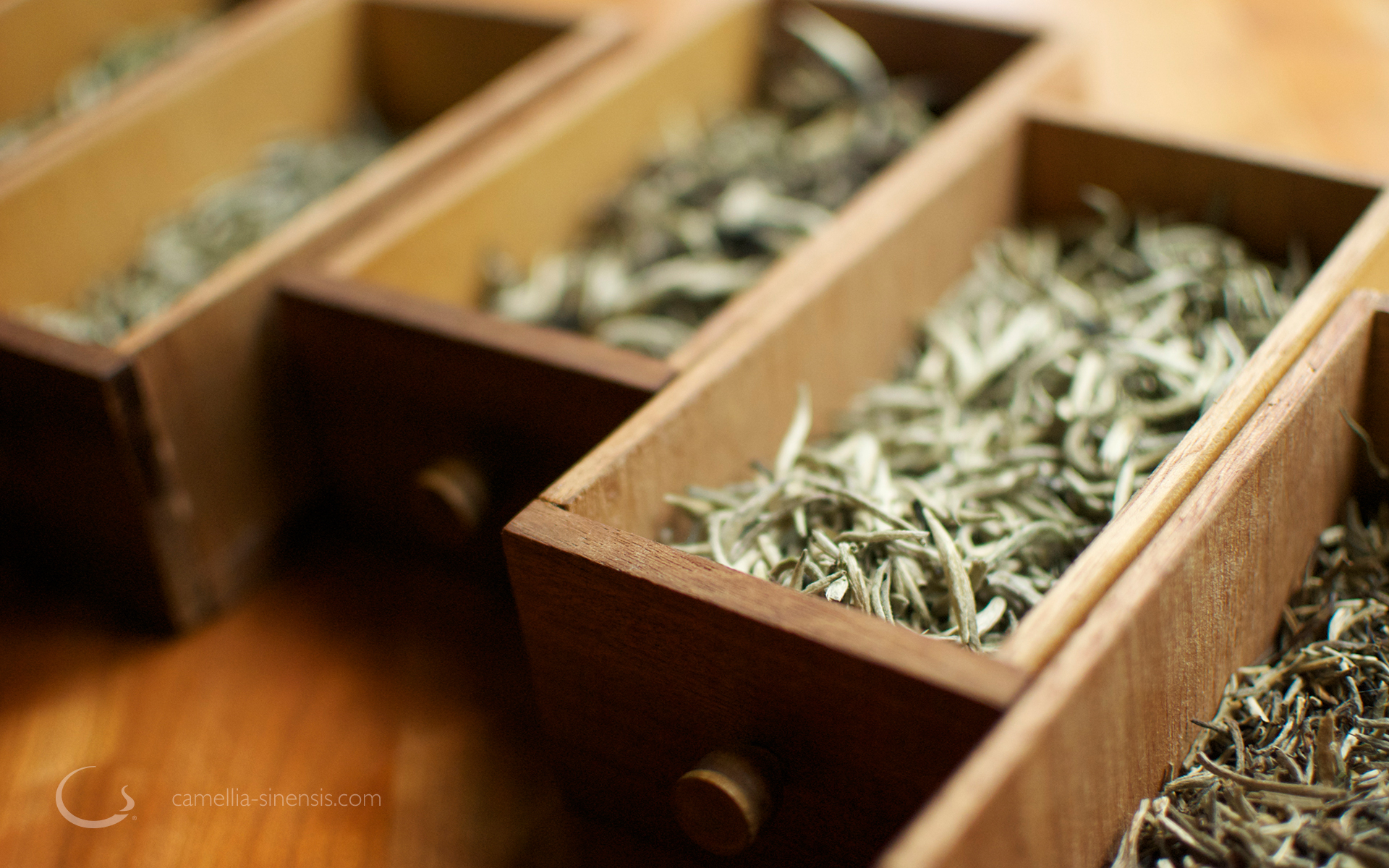 Delicate, refreshing white teas - Rachelle Béry