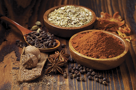 Voyager… grâce aux épices - Rachelle Béry