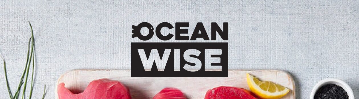 A eco-friendly choices with Ocean Wise - Rachelle Béry