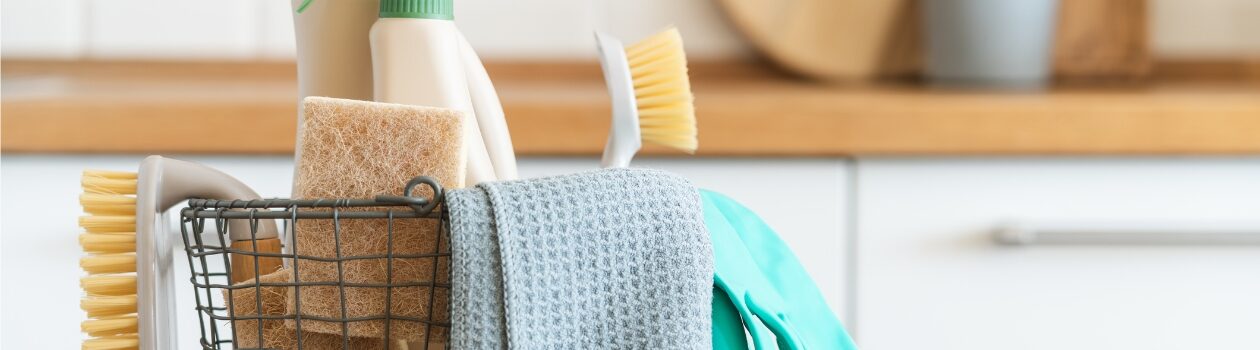 Ménage du printemps : nettoyer sans polluer avec Maude Carmel ...